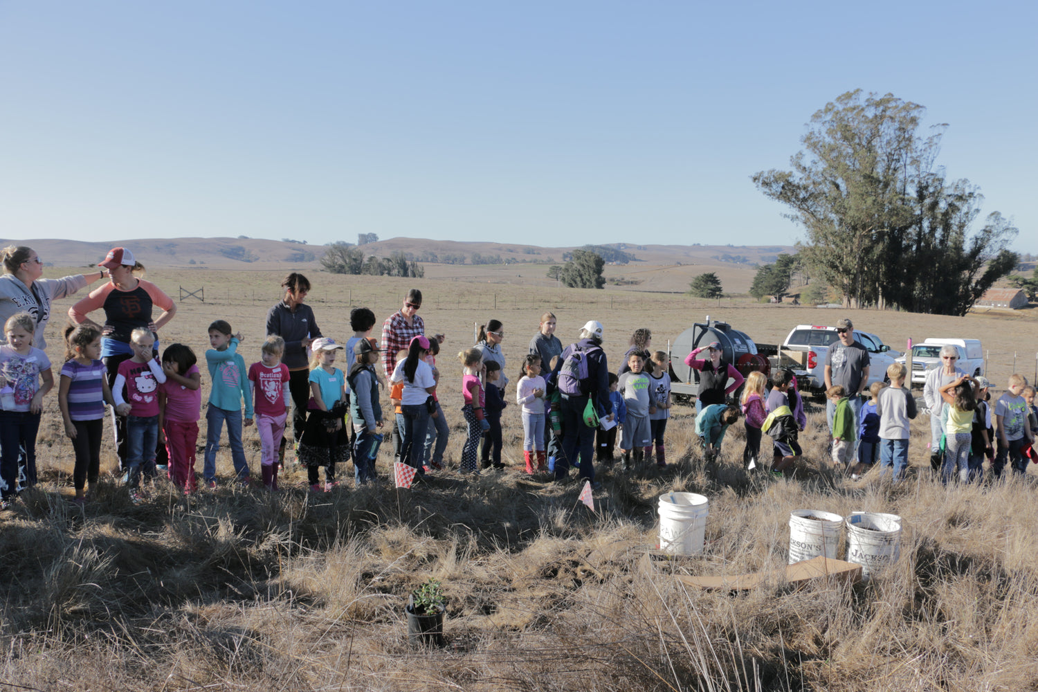 STRAW Project: Three Years Later | Stemple Creek Ranch